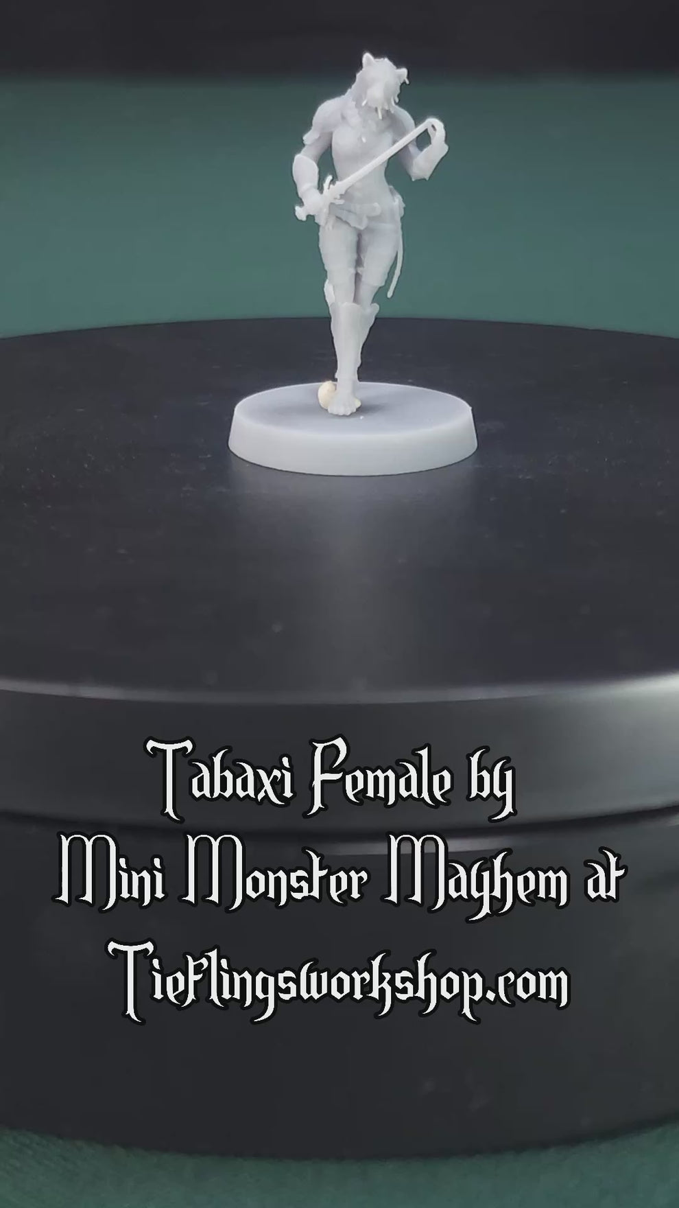 Tabaxi Female – Tieflings Workshop